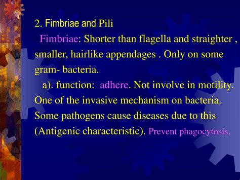 Ppt Bacterial Morphology Arrangement Powerpoint Presentation Free Download Id1780530