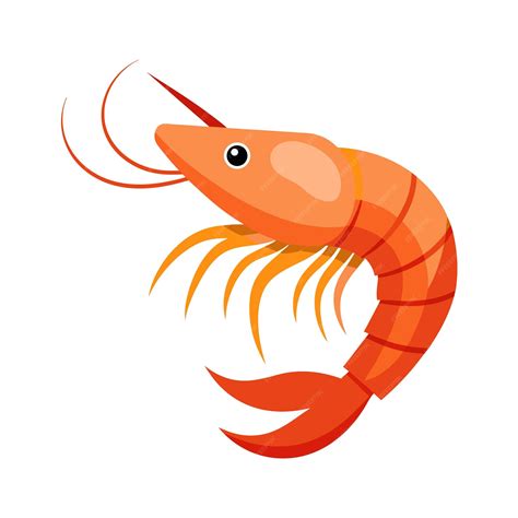 Premium Vector Illustration Of Shrimp Animal On White