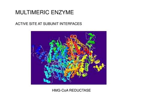 Ppt Enzyme Kinetics Powerpoint Presentation Free Download Id6816361
