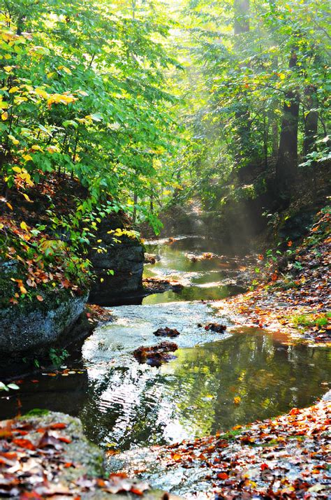 Nelson Ledges Photograph By Lila Fisher Wenzel Fine Art America