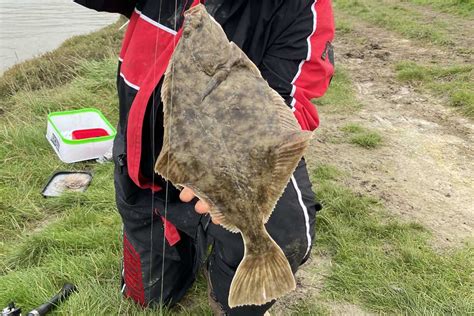 Big Winter Flounder Fishing Simple Fishing Guide Tronixpro