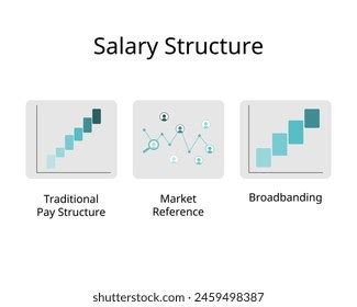 Types Pay Structure Salary Structure Traditional Stock Vector Royalty Free