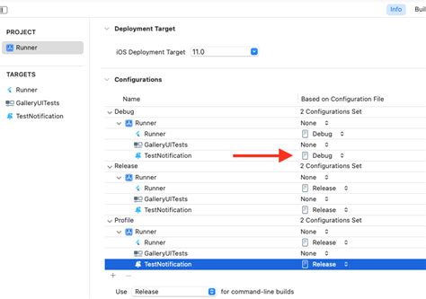 Could Not Find Or Use Auto Linked Framework Flutter In Xcode Extension Target · Issue 103344