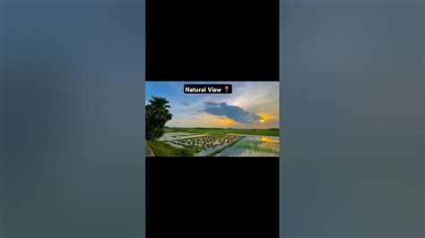 Natural View Village 📍 I Bastar Chhattisgarh India Youtube