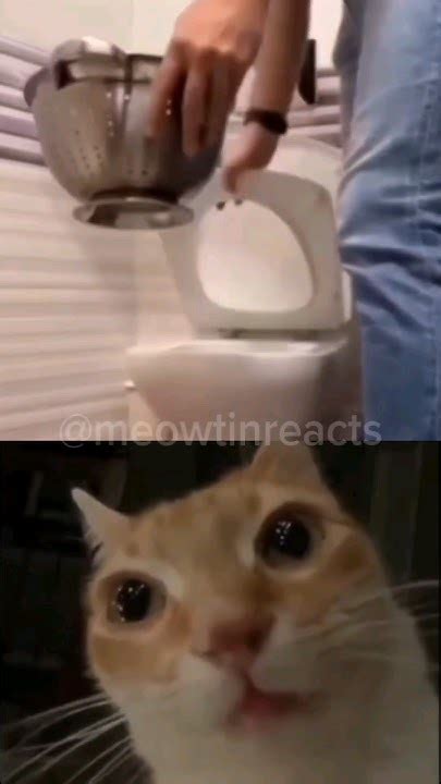 Recursive Function Coding Programming Datastructures Youtube