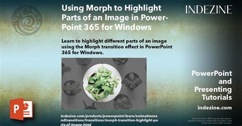 Using Morph To Highlight Parts Of An Image In PowerPoint For Windows