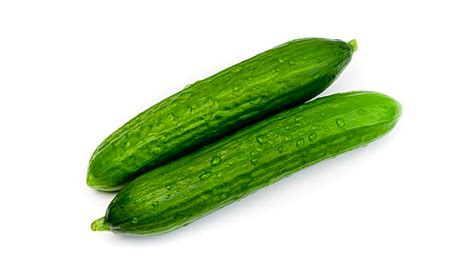Frotting Know Your Meme