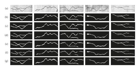 Saliency Maps Under Different Loss Functions A Image B Ground Download Scientific Diagram