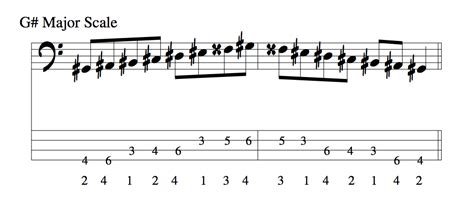 Music Theory For Bass Intervals And The Major Scale Part 1 Talkingbass