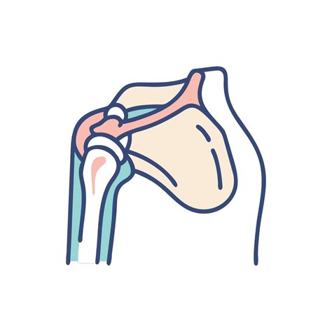 Unique Acromion Anatomy Icon 55728387 Vector Art At Vecteezy Unique Acromion Anatomy Icon 55728387 Vector Art At Vecteezy