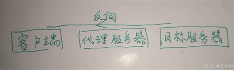 为什么叫做反向代理服务器 csdn博客