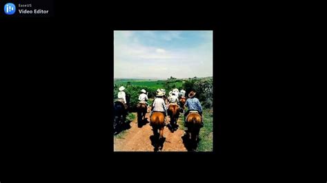 Corrido De San Francisco De Rivas Jalisco Youtube