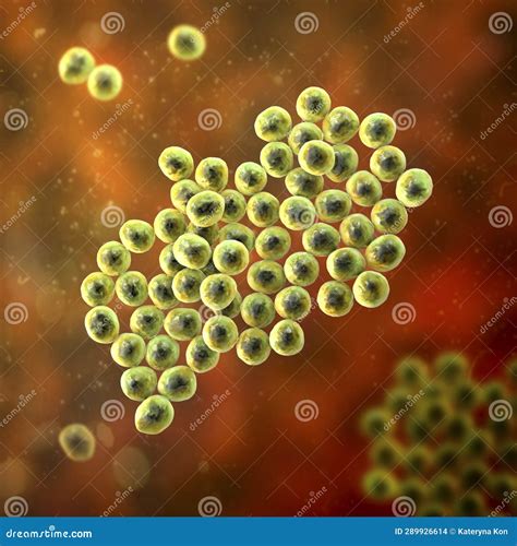 Staphylococcus Bacteria 3d Illustration Stock Illustration