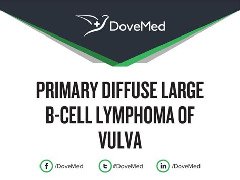 Primary Diffuse Large B Cell Lymphoma Of Vulva