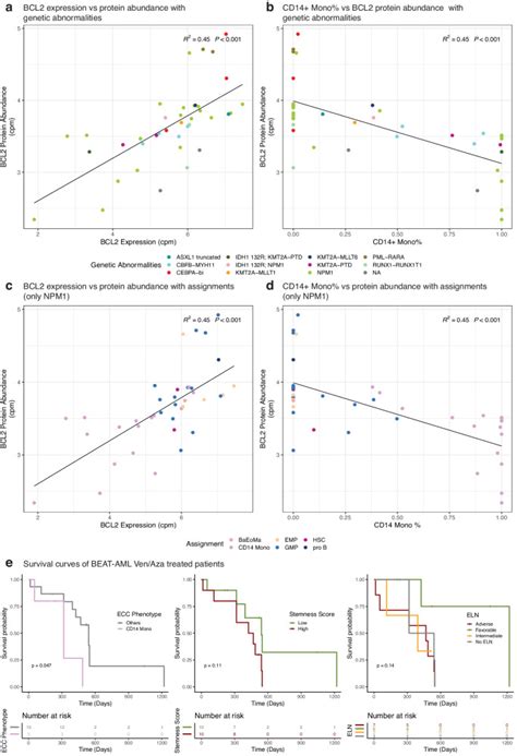 A Transcriptomic Based Deconvolution Framework For Assessing Differentiation Stages And Drug