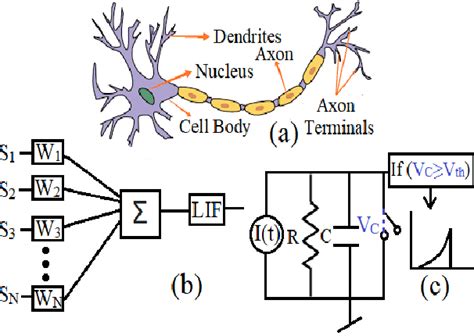 Figure 1 From An Energy Efficient Lif Neuron Based On Bulk Mosfet With