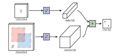 Adaptive Multi Scale Fusion Siamese Network For Visual Tracking