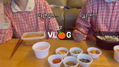 흔한 일상속 직장인 브이로그 Vlog Youtube