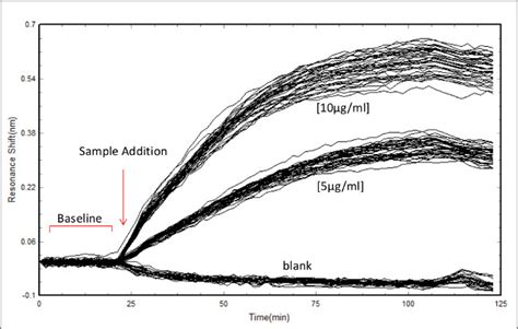 Detection Of Human Leukocyte Antigen Biomarkers In Breast Cancer