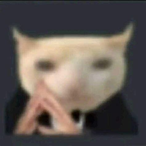 Funny Cat Meme With Silly Gesture Memes De Gatos