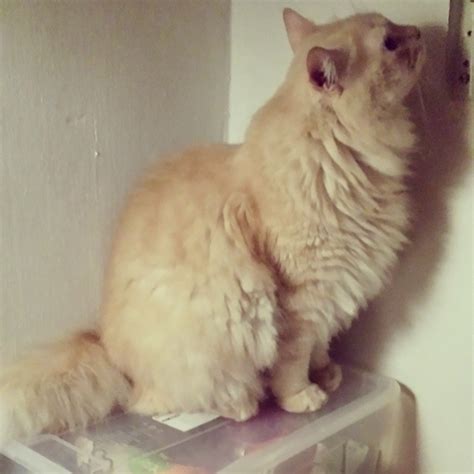 You Know You Love Me Xoxo