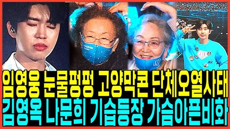 임영웅 고양콘서트 막콘 눈물줄줄 관객까지 단체오열 김영옥 나문희 기습등장 아무도모른 가슴아픈사연 깜놀한이유 미우새 시청률폭발 Youtube