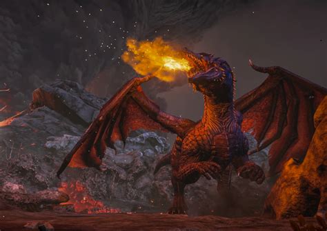 Home Small Tribes Shop