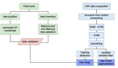 A Flowchart Demonstrating How To Collect Uav Data In The Field And Download Scientific Diagram
