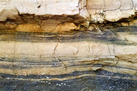 Accompagnateur En Montagne Marbre Marbre Roche Métamorphique