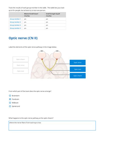 SOLUTION Week 6 Lab Cranial Nerves Report Studypool