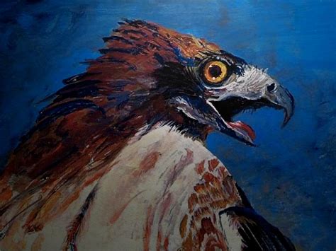 Fierce Hawk Digital Art By Leonard Keigher Pixels