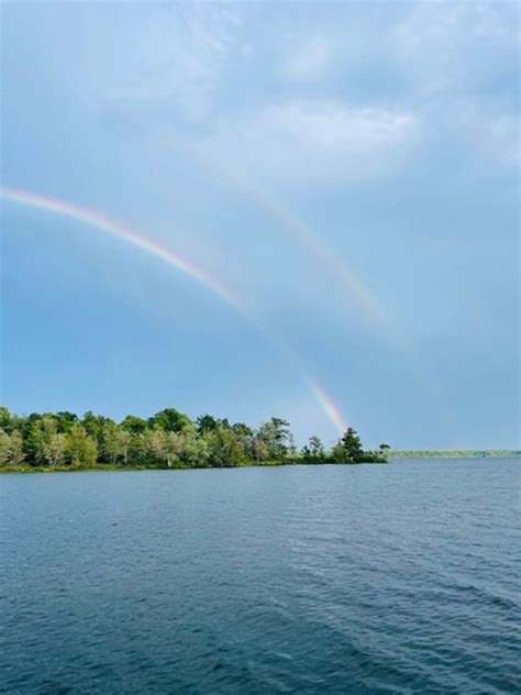 Yescessary A Newsletter