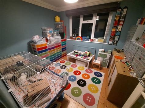 Embarking On The Lego Sorting Journey Digs For Figs