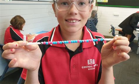 45 Stem Binary Bracelets Central Yorke School