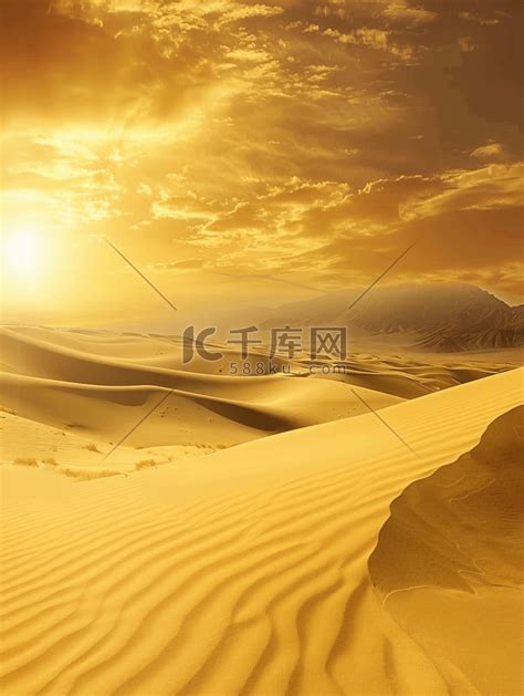 沙漠中的生命高清摄影大图 千库网