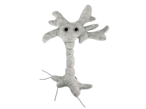 Brain Cell Giant Microbe Questacon