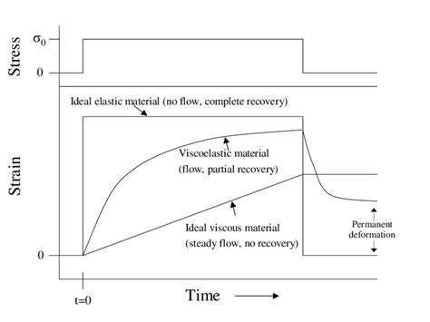 11 Creep And Recovery Curves Of An Ideal Elastic An Ideal Viscous And