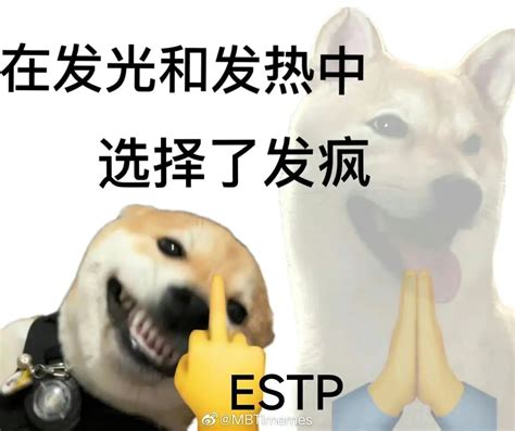 Mbti表情包estp官图 抖音