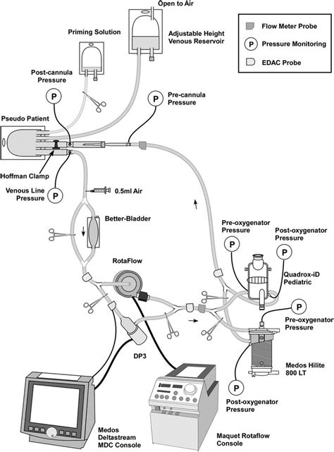 The Experimental Circuit Download Scientific Diagram