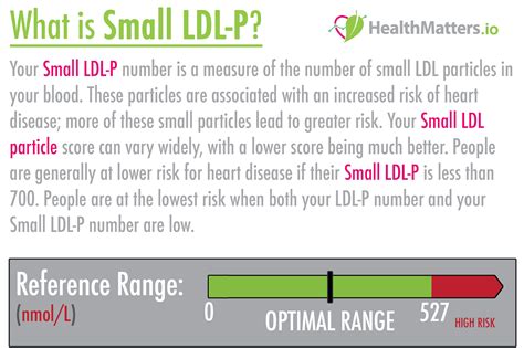 What Is Small Ldl P High And Low Values Lab Results Explained