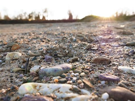 Page 6 Littered Field Images Free Download On Freepik