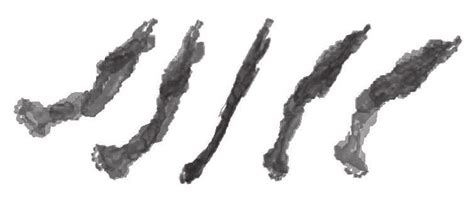 Selected Projection Of The 3d Pcl Structure Download Scientific Diagram