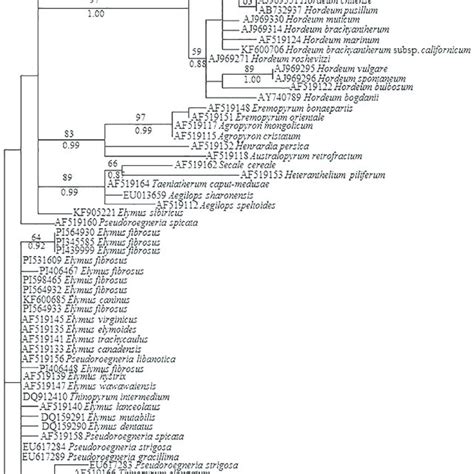 One Of The 124 Parsimonious Trees Derived From Trnl F Sequence Data Was