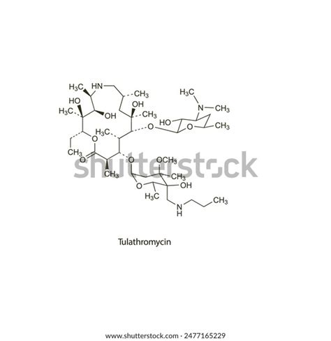 Troleandomycin Flat Skeletal Molecular Structure Macrolide Stock Vector Royalty Free