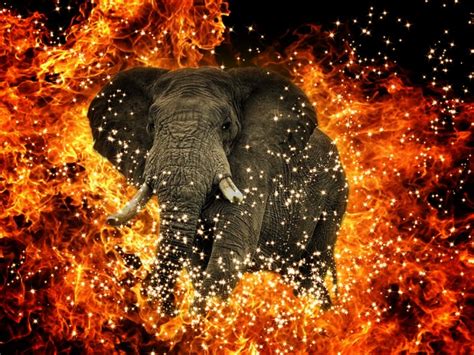 Cloudera Adopts Apache Spark As Mapreduce Big Data Alternative