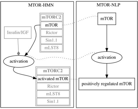 measuring the state of the art of automated pathway curation using graph algorithms a case