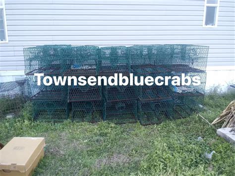 Ccsd Head Start And Early Head Start Ccsd Head Start And Early Head Start Presents The Service