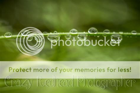 The Crazy Redhead Photographer