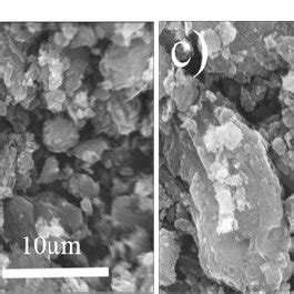 Figure S A SEM Images Of Fe NC B SEM Images Of Fe NC HS C SEM Download Scientific