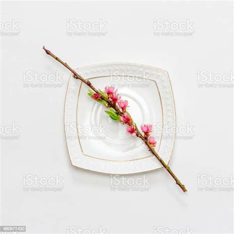 상위 뷰 흰색 배경에 흰색 접시에 분홍색 꽃과 복숭아의 꽃 0명에 대한 스톡 사진 및 기타 이미지 0명 개념 개화기 Istock